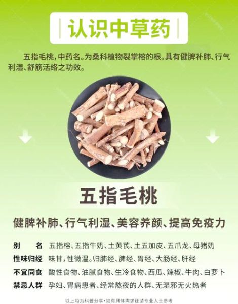 五指毛桃的功效与作用_小孩能吃吗-第1张图片-山城妙识