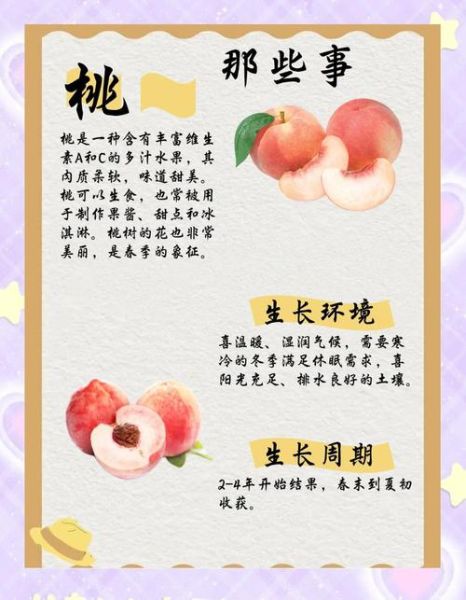桃子一天吃几个最好_桃子吃多了会怎样-第2张图片-山城妙识