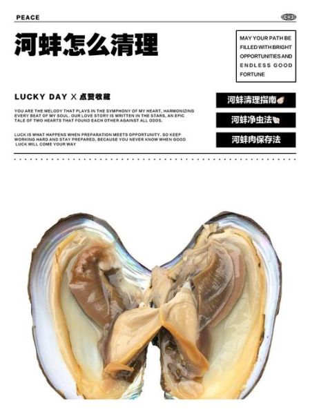 河蚌内脏怎么清洗_河蚌内脏清洗视频教程-第1张图片-山城妙识