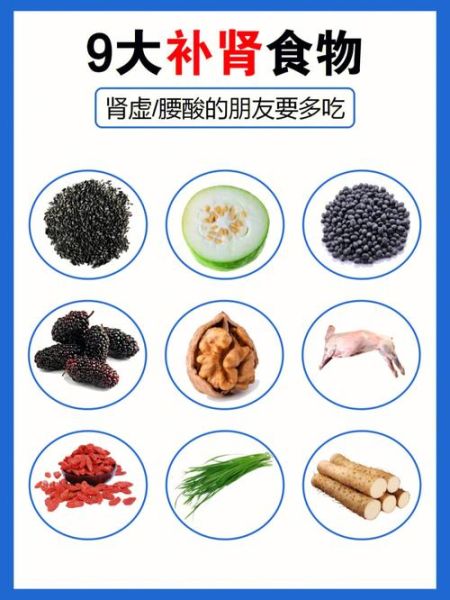 补肾食疗方子有哪些_肾虚吃什么食物好-第3张图片-山城妙识