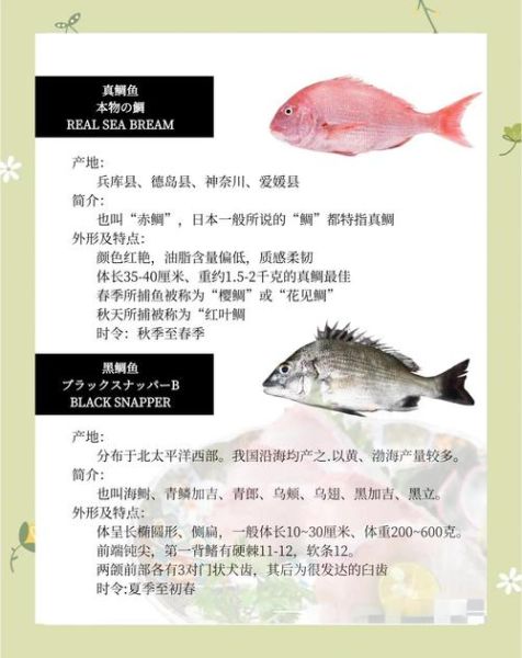 鲷粤语怎么读_鲷鱼粤语发音详解-第1张图片-山城妙识 鲷粤语怎么读_鲷鱼粤语发音详解-第1张图片-山城妙识