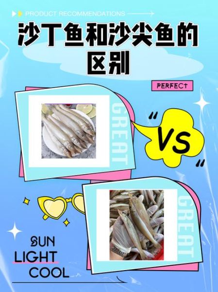 沙丁鱼游戏怎么玩_沙丁鱼游戏规则是什么-第1张图片-山城妙识