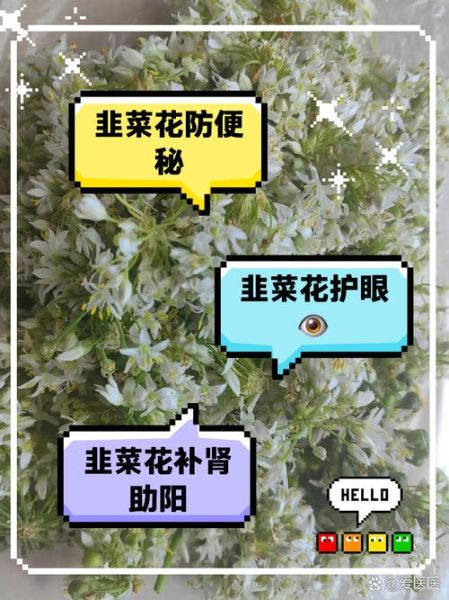 韭菜花的功效与禁忌_什么人不能吃韭菜花-第3张图片-山城妙识 韭菜花的功效与禁忌_什么人不能吃韭菜花-第3张图片-山城妙识