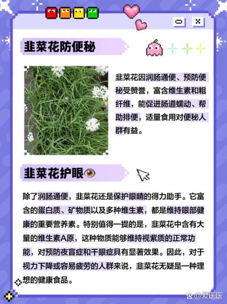 韭菜花的功效与禁忌_什么人不能吃韭菜花-第1张图片-山城妙识 韭菜花的功效与禁忌_什么人不能吃韭菜花-第1张图片-山城妙识