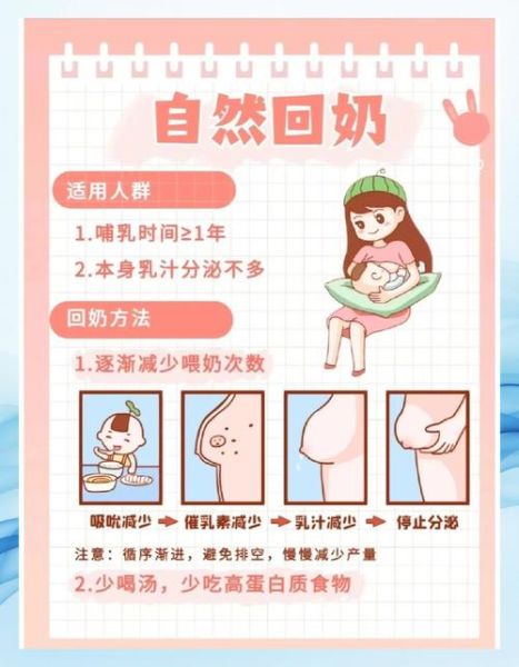 回奶的正确方法_如何科学回奶不涨痛-第3张图片-山城妙识