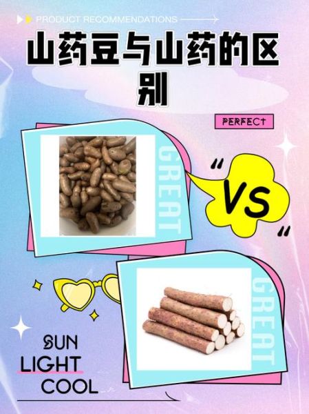 山药豆和山药的营养价值有区别吗_哪个更适合日常食用-第1张图片-山城妙识