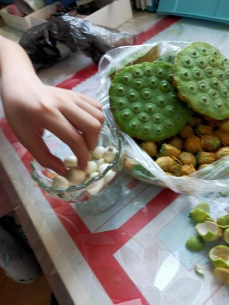 干莲蓬怎么吃_干莲蓬的做法大全-第3张图片-山城妙识 干莲蓬怎么吃_干莲蓬的做法大全-第3张图片-山城妙识