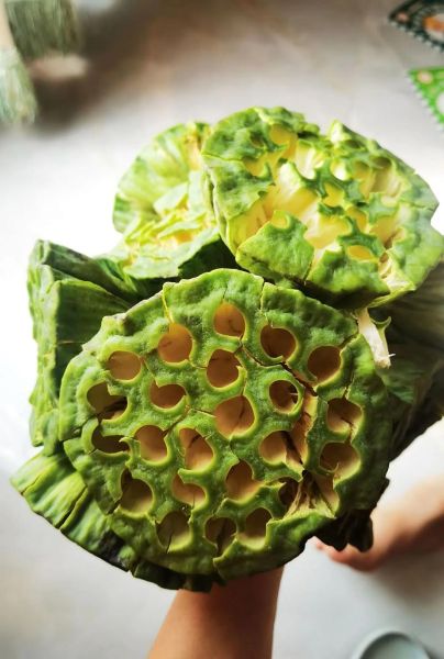 干莲蓬怎么吃_干莲蓬的做法大全-第2张图片-山城妙识 干莲蓬怎么吃_干莲蓬的做法大全-第2张图片-山城妙识