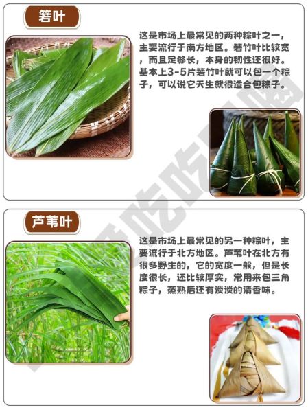 包粽子的叶子叫什么植物_粽叶是哪种植物的叶子-第1张图片-山城妙识 包粽子的叶子叫什么植物_粽叶是哪种植物的叶子-第1张图片-山城妙识