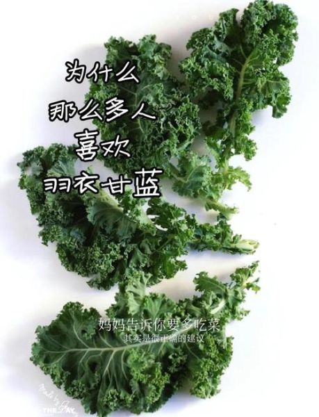 羽衣甘蓝怎么炒着吃_羽衣甘蓝炒多久才脆嫩-第1张图片-山城妙识