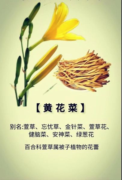 凉拌黄花菜怎么做_凉拌黄花菜要不要焯水-第3张图片-山城妙识