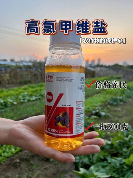 甜菜夜蛾用什么药防治_高效低毒药剂推荐-第3张图片-山城妙识