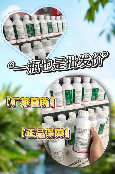 甜菜夜蛾用什么药防治_高效低毒药剂推荐-第2张图片-山城妙识