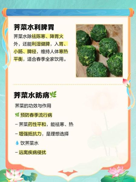 荠菜泡水喝的功效与作用_荠菜泡水喝的禁忌-第1张图片-山城妙识
