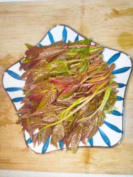 香椿怎么吃_香椿怎么做好吃-第3张图片-山城妙识 香椿怎么吃_香椿怎么做好吃-第3张图片-山城妙识