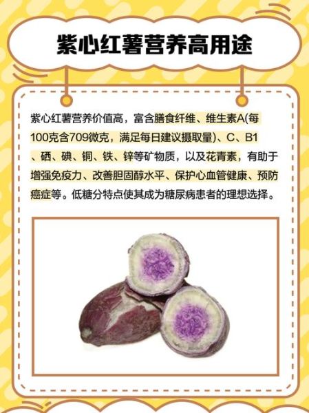 紫地瓜是转基因吗_紫地瓜和紫薯区别-第1张图片-山城妙识 紫地瓜是转基因吗_紫地瓜和紫薯区别-第1张图片-山城妙识