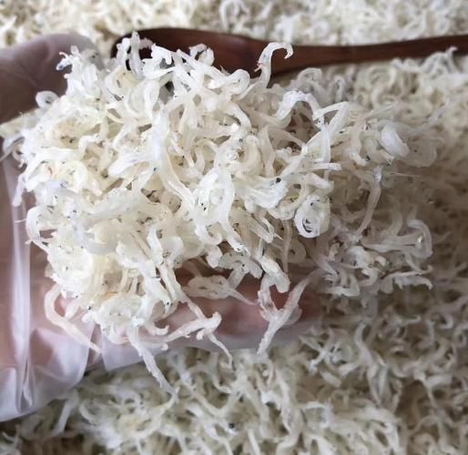 干小银鱼怎么泡发_干小银鱼怎么炒好吃-第2张图片-山城妙识