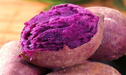 番薯小组官网是什么_番薯小组官网怎么用-第2张图片-山城妙识 番薯小组官网是什么_番薯小组官网怎么用-第2张图片-山城妙识