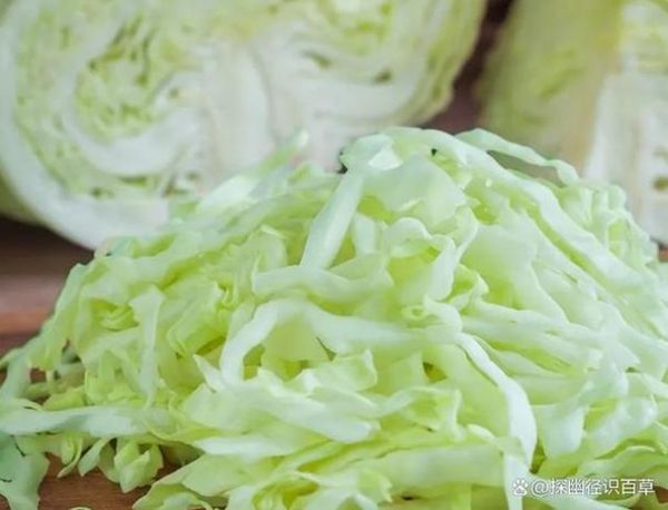 大头菜长什么样_大头菜和卷心菜的区别-第2张图片-山城妙识