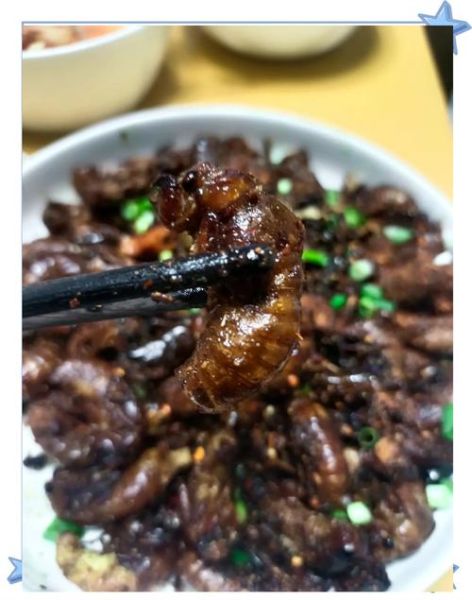 蝉的做法家常做法大全_蝉怎么做好吃-第1张图片-山城妙识