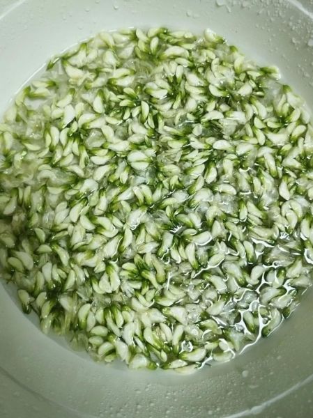 洋槐花怎么做好吃_洋槐花做法大全-第3张图片-山城妙识