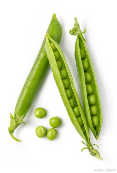 豌豆长什么样子_豌豆长什么样图片-第1张图片-山城妙识