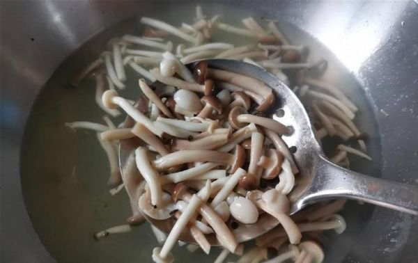 草菇为什么要焯水_焯水后口感更好吗-第3张图片-山城妙识 草菇为什么要焯水_焯水后口感更好吗-第3张图片-山城妙识