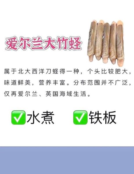 蛏子图片大全_蛏子怎么挑选-第1张图片-山城妙识 蛏子图片大全_蛏子怎么挑选-第1张图片-山城妙识