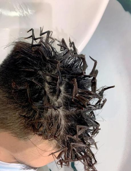 蚂蚱烫发型男适合什么脸型_蚂蚱烫发型男怎么打理-第2张图片-山城妙识