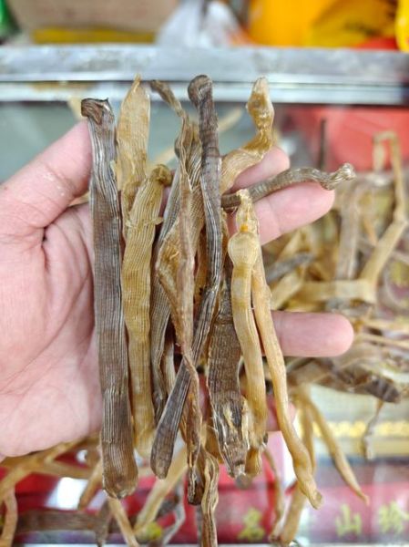 沙虫干有什么功效_沙虫干适合什么人吃-第2张图片-山城妙识 沙虫干有什么功效_沙虫干适合什么人吃-第2张图片-山城妙识