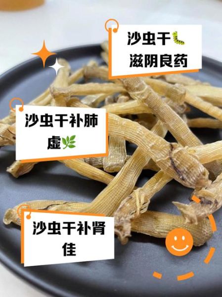沙虫干有什么功效_沙虫干适合什么人吃-第1张图片-山城妙识 沙虫干有什么功效_沙虫干适合什么人吃-第1张图片-山城妙识