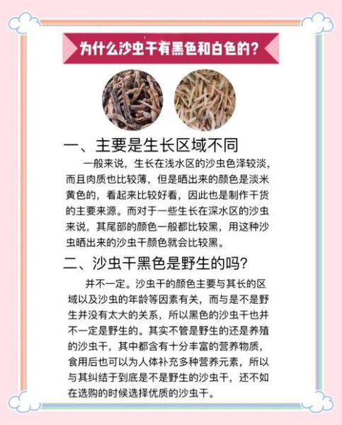 沙虫干有什么功效_沙虫干适合什么人吃-第3张图片-山城妙识 沙虫干有什么功效_沙虫干适合什么人吃-第3张图片-山城妙识