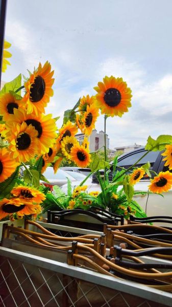 向日葵视频免费下载_怎么安装到手机-第1张图片-山城妙识