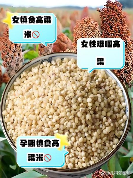 吃高粱米的禁忌有哪些_高粱米什么人不能吃-第1张图片-山城妙识