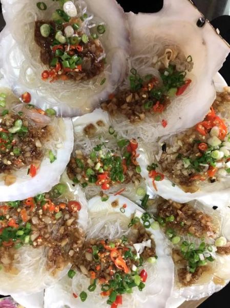 扇贝网怎么用_扇贝网官网网页版功能详解-第3张图片-山城妙识 扇贝网怎么用_扇贝网官网网页版功能详解-第3张图片-山城妙识