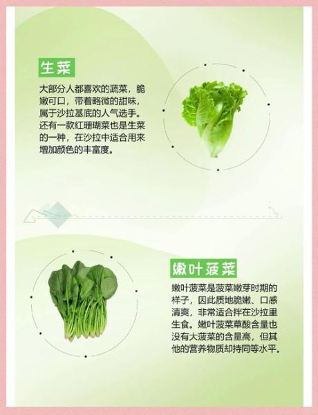 沙拉常用蔬菜有哪些_如何挑选更新鲜-第1张图片-山城妙识 沙拉常用蔬菜有哪些_如何挑选更新鲜-第1张图片-山城妙识