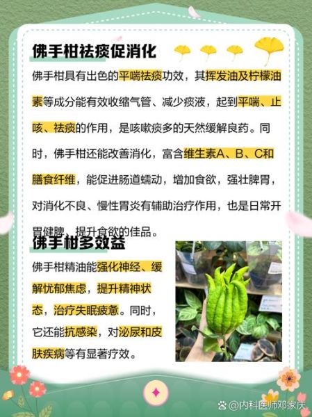 佛手柑怎么吃_佛手柑食用禁忌-第2张图片-山城妙识