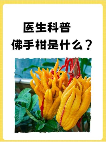 佛手柑怎么吃_佛手柑食用禁忌-第3张图片-山城妙识