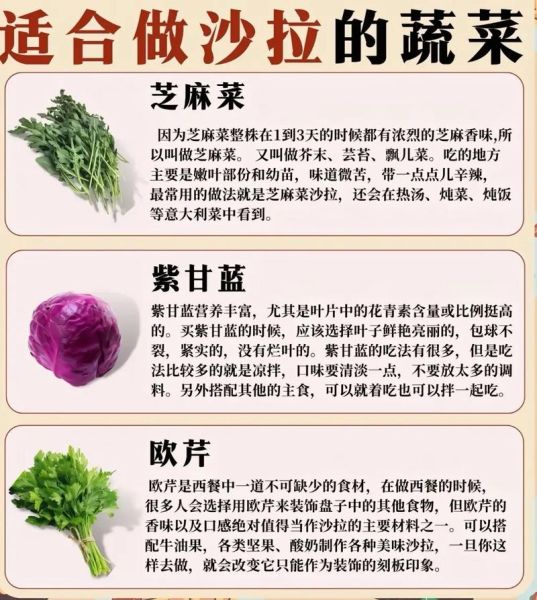 沙拉常用蔬菜有哪些_如何挑选更新鲜-第3张图片-山城妙识 沙拉常用蔬菜有哪些_如何挑选更新鲜-第3张图片-山城妙识