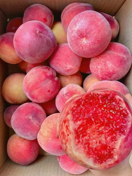 春季吃什么水果最好_春季应季水果推荐-第2张图片-山城妙识 春季吃什么水果最好_春季应季水果推荐-第2张图片-山城妙识