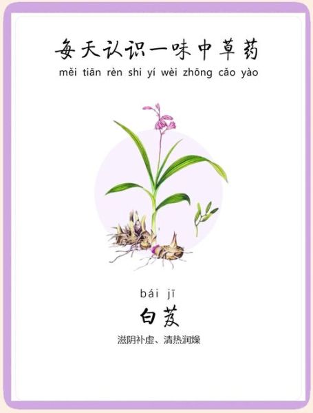 白芨的功效与作用及禁忌_白芨可以长期服用吗-第3张图片-山城妙识