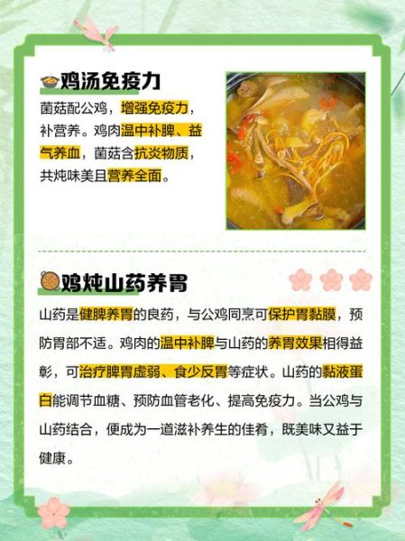 公鸡怎么炖好喝又营养_公鸡炖汤用什么配料-第1张图片-山城妙识