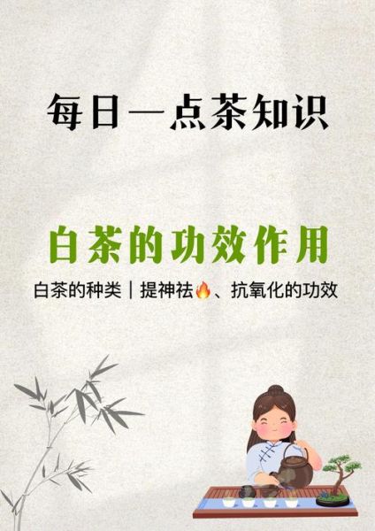 老白茶的功效与作用_老白茶怎么喝才养生-第2张图片-山城妙识