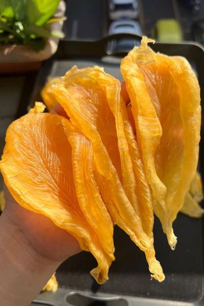 花胶肚怎么泡发_花胶肚图片真假辨别-第3张图片-山城妙识 花胶肚怎么泡发_花胶肚图片真假辨别-第3张图片-山城妙识