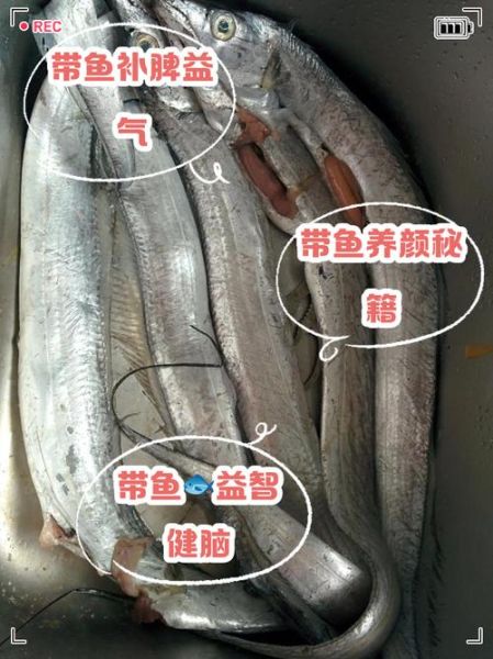 带鱼的营养价值及功效_带鱼怎么做好吃又营养-第2张图片-山城妙识