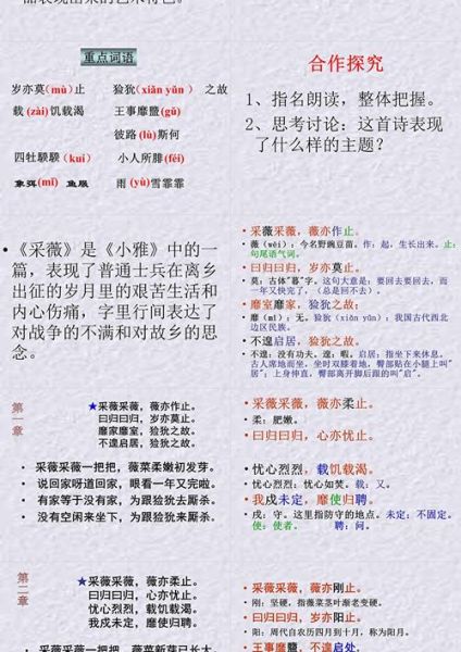 采薇翻译是什么_采薇翻译怎么用-第3张图片-山城妙识 采薇翻译是什么_采薇翻译怎么用-第3张图片-山城妙识