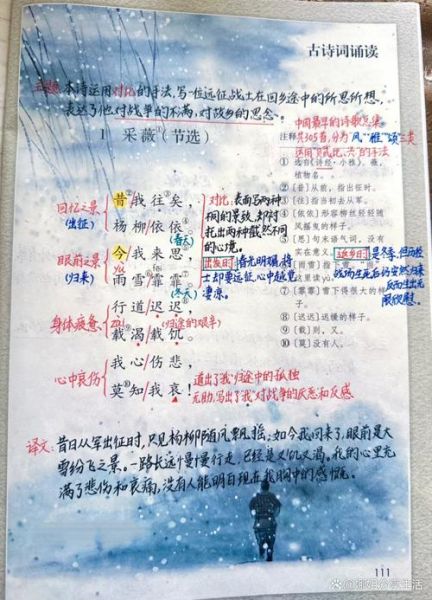 采薇翻译是什么_采薇翻译怎么用-第1张图片-山城妙识 采薇翻译是什么_采薇翻译怎么用-第1张图片-山城妙识