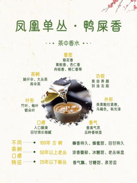 凤凰单丛茶的功效与作用_适合什么人喝-第2张图片-山城妙识 凤凰单丛茶的功效与作用_适合什么人喝-第2张图片-山城妙识