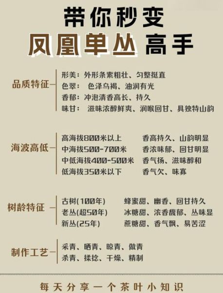凤凰单丛茶的功效与作用_适合什么人喝-第3张图片-山城妙识 凤凰单丛茶的功效与作用_适合什么人喝-第3张图片-山城妙识