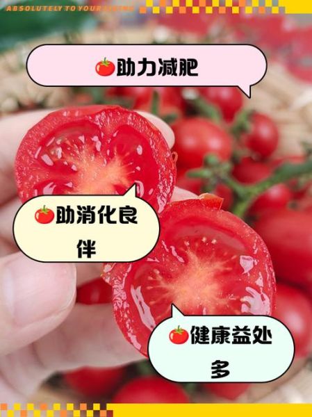 西红柿热量高吗_减肥能吃西红柿吗-第1张图片-山城妙识 西红柿热量高吗_减肥能吃西红柿吗-第1张图片-山城妙识